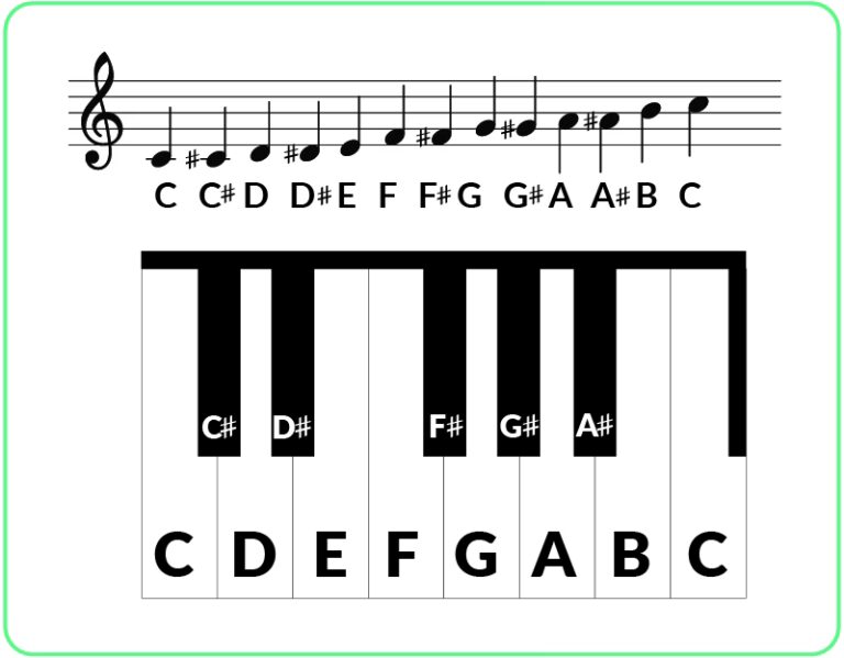 Descubre las 12 Notas Musicales del Piano | Pianos PUCH